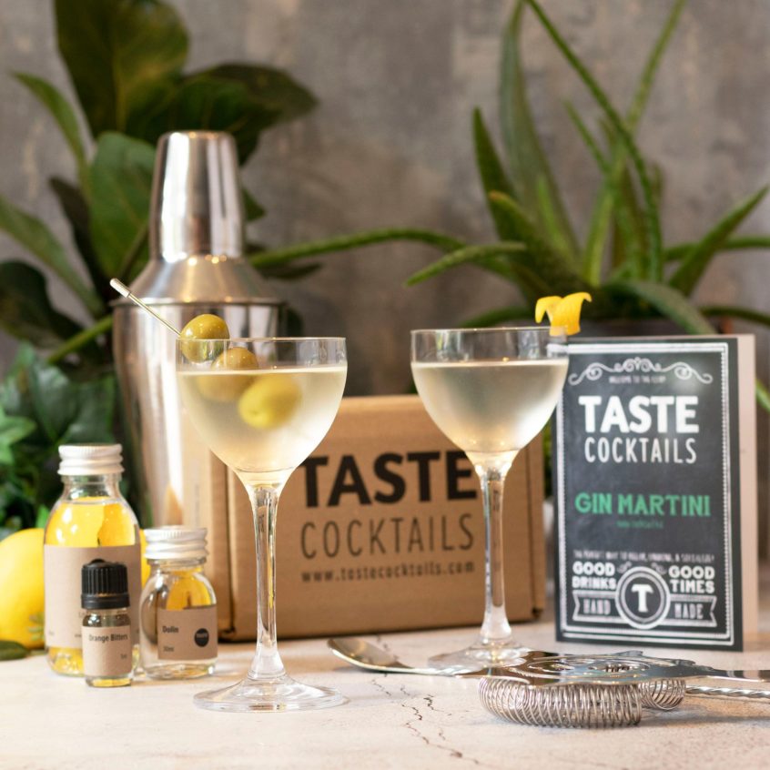 The Gin Martini Mini Cocktail Kit - TASTE cocktails