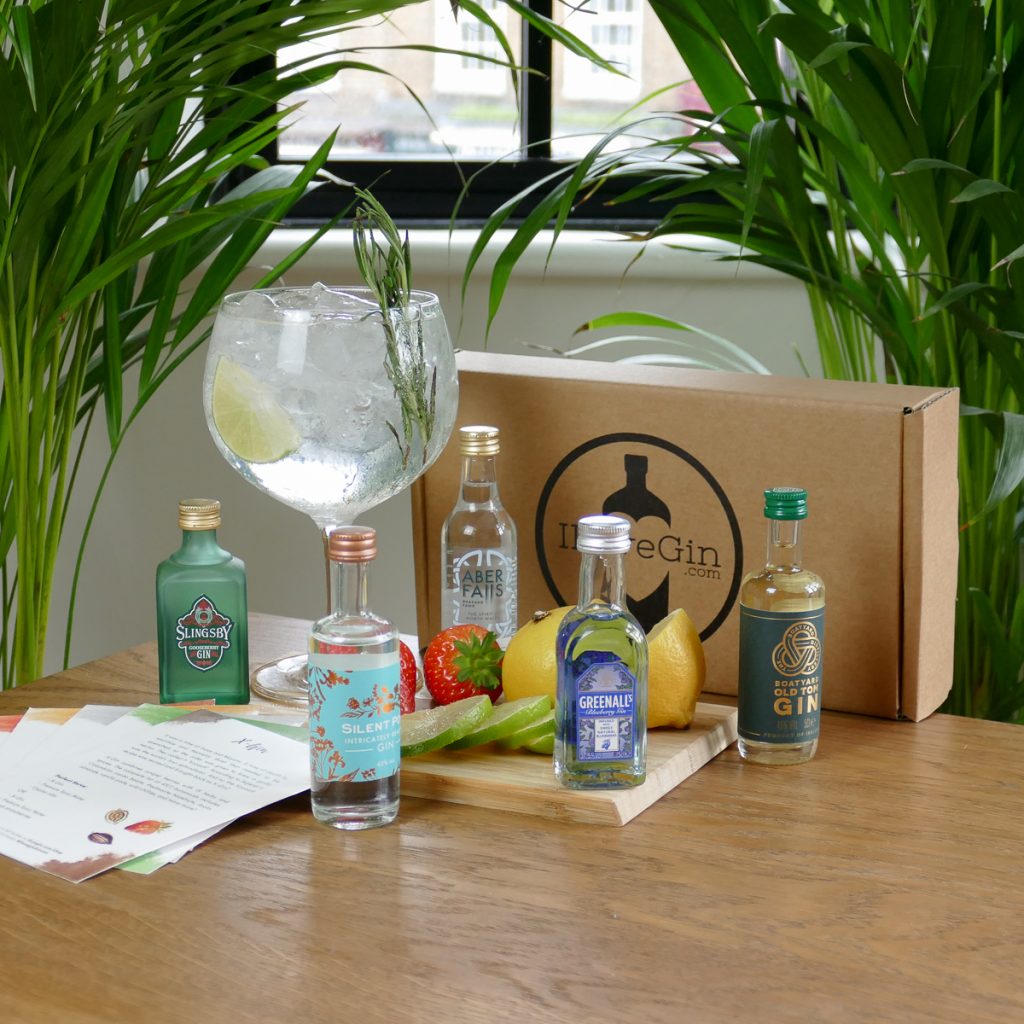 The ILoveGin Selection Five Gins Tasting Gift Set - TASTE cocktails